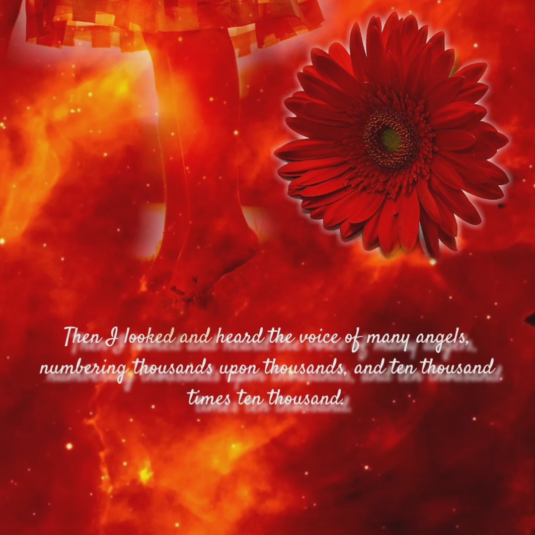 Revelation Project – Life at Home